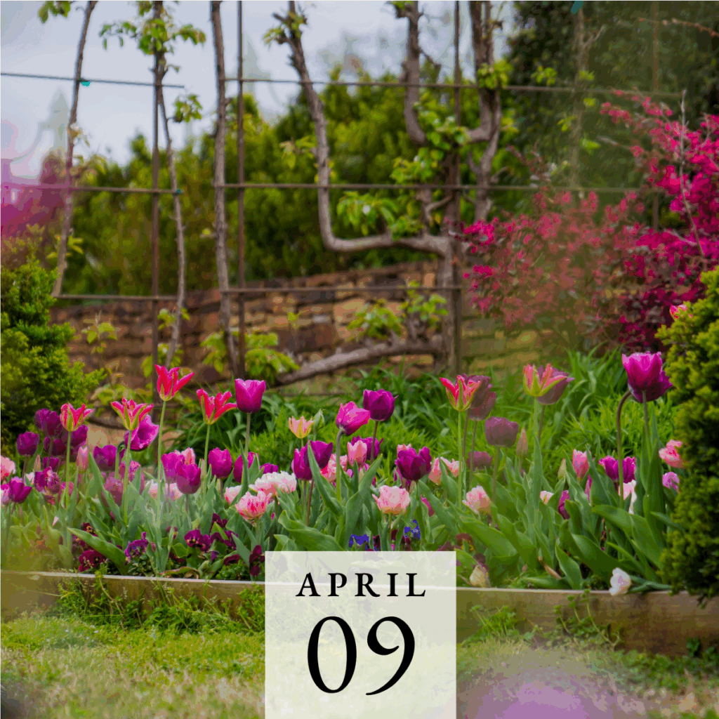 April 9, 2026 - P. Allen Smith
