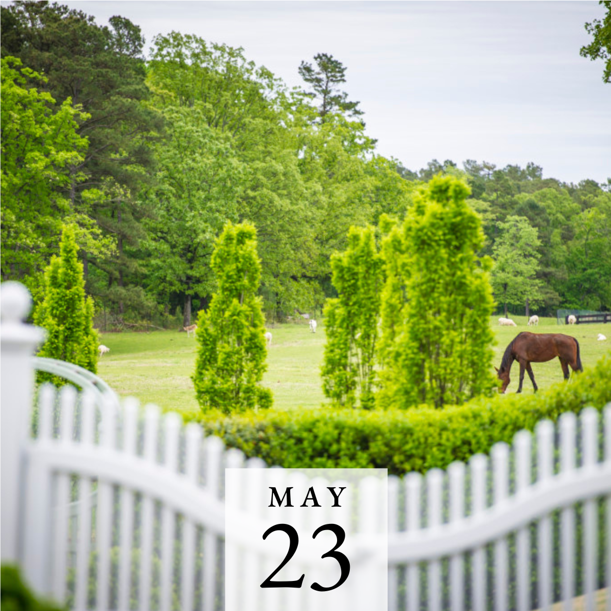May 23, 2025 - P. Allen Smith