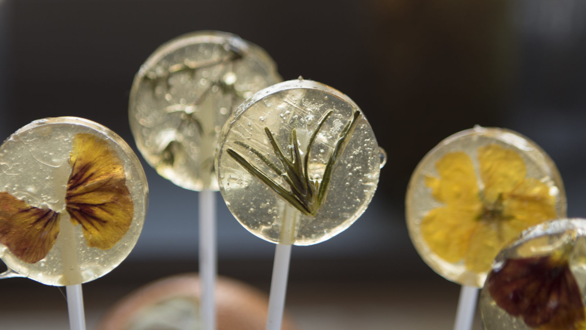 Flower-Studded Lollipops – P. Allen Smith