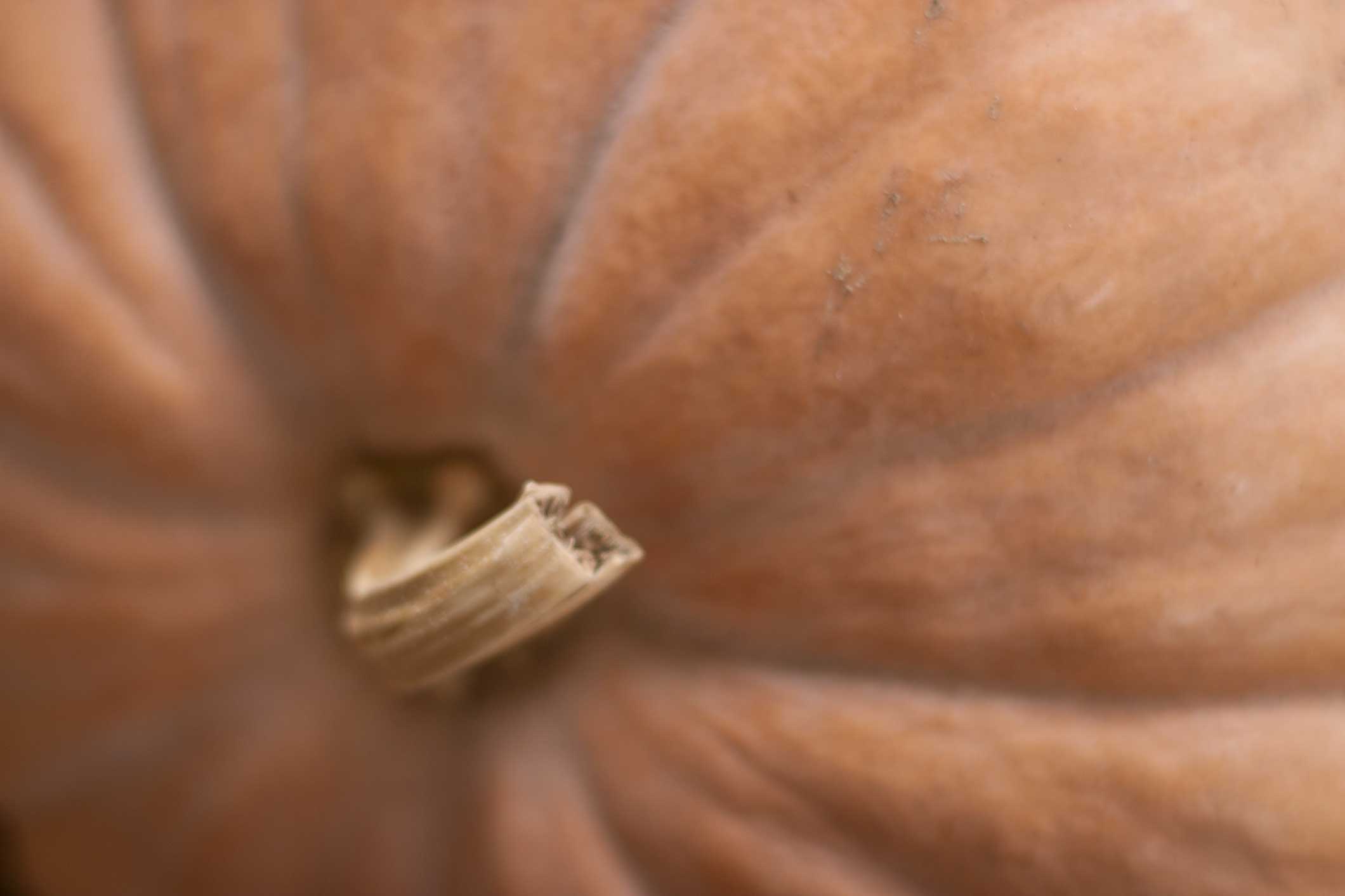 Unusual Pumpkin Varieties – P. Allen Smith