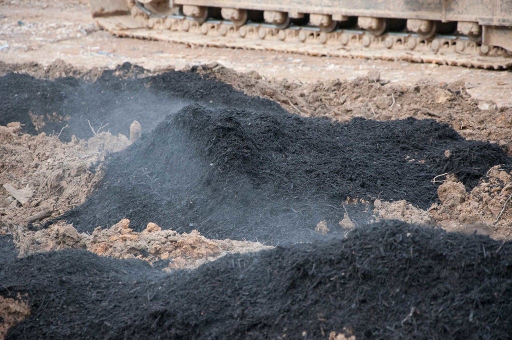 Three Steps to Improve Garden Soil – P. Allen Smith