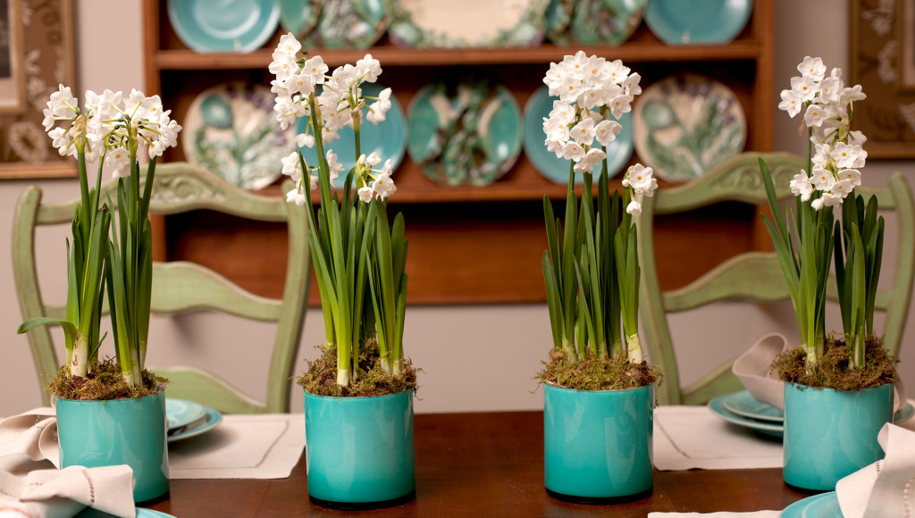 Arrangements with Spring Flowering Bulbs – P. Allen Smith