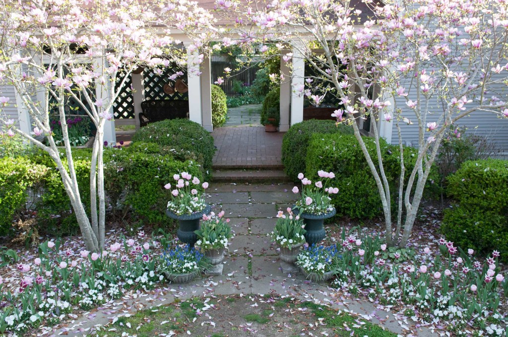 Foundation Planting Ideas – P. Allen Smith