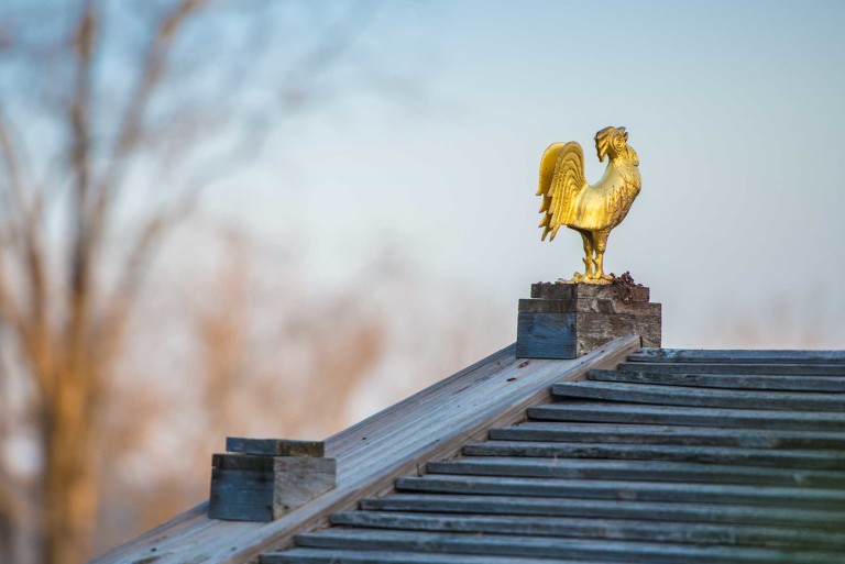 Clever Chicken Coops P Allen Smith