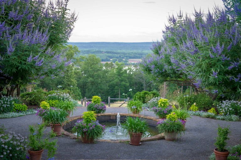 12 Principles of Garden Design – P. Allen Smith