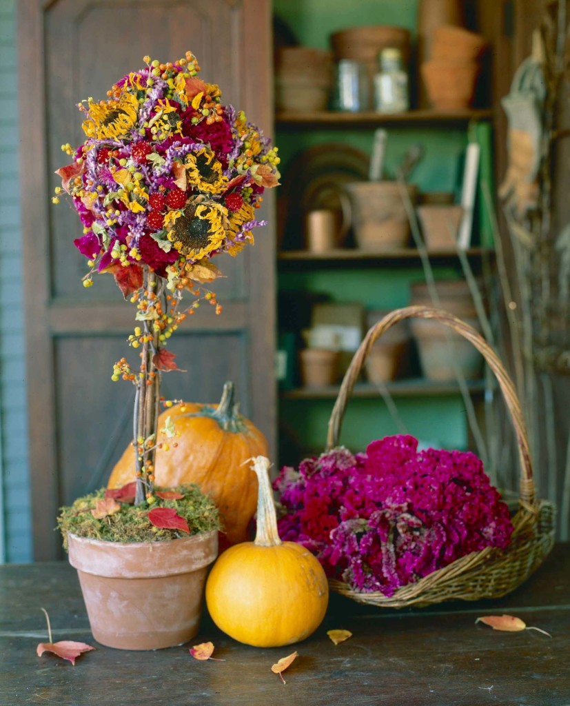 Create a Dried Flower Topiary for Fall – P. Allen Smith