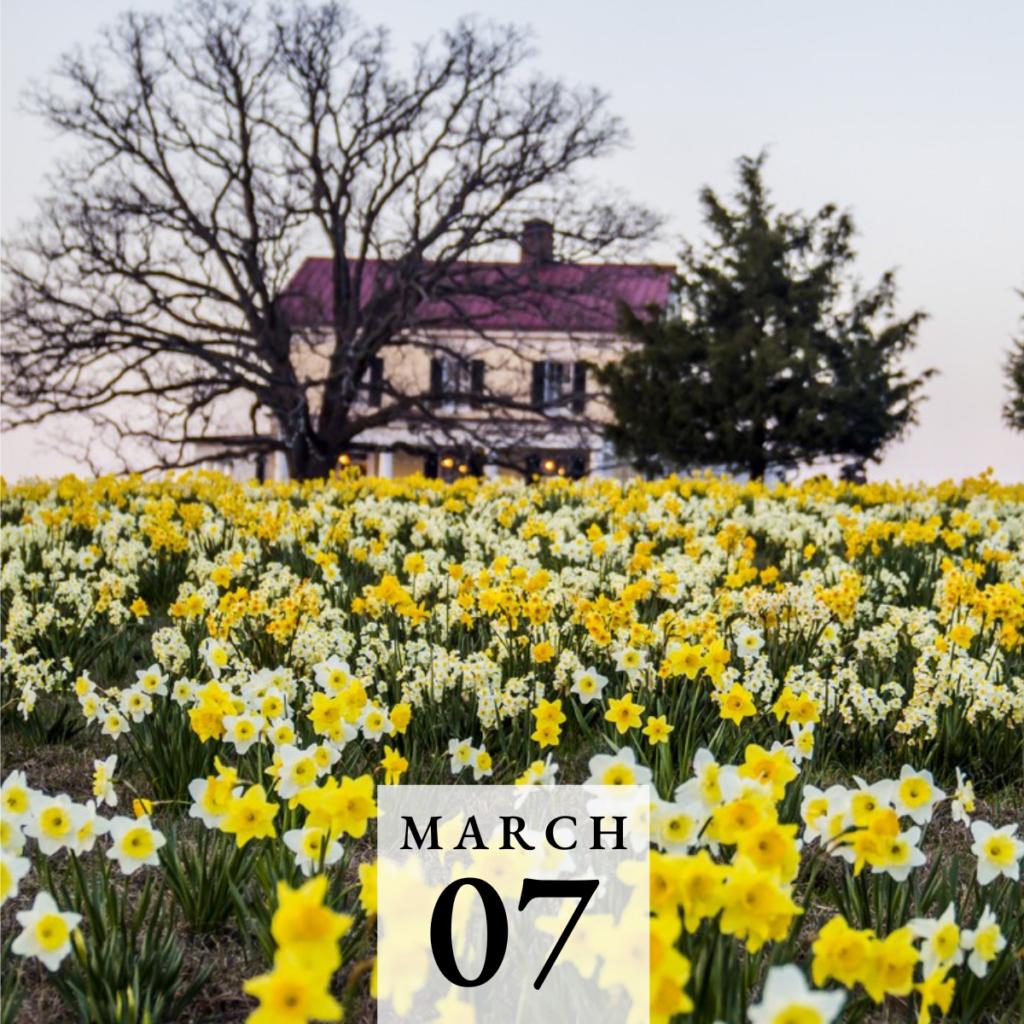 March 7, 2025 - P. Allen Smith