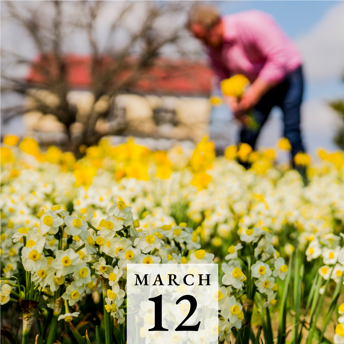 March 12, 2026 - P. Allen Smith