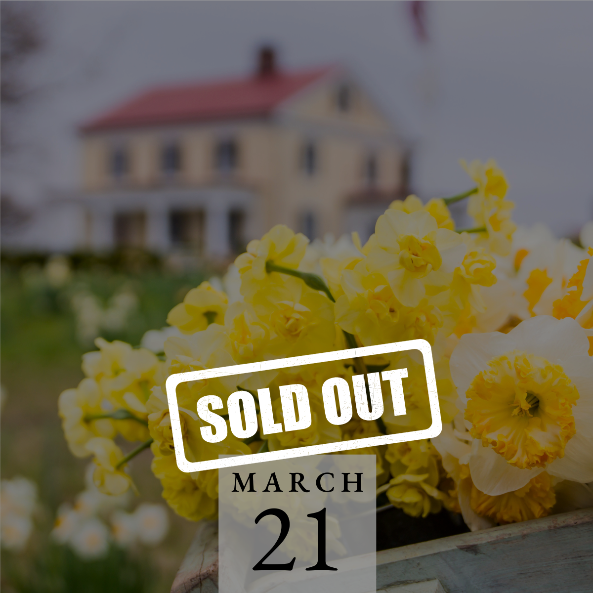 March 21, 2025 - P. Allen Smith