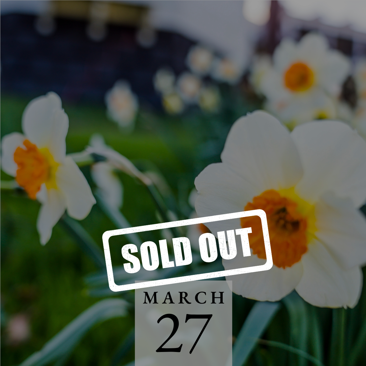 March 27, 2025 - P. Allen Smith