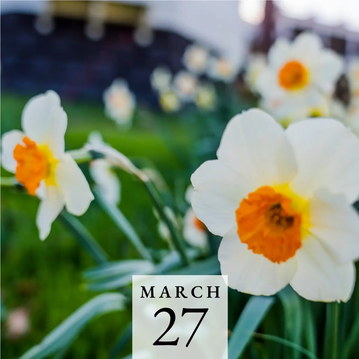 March 27, 2026 - P. Allen Smith