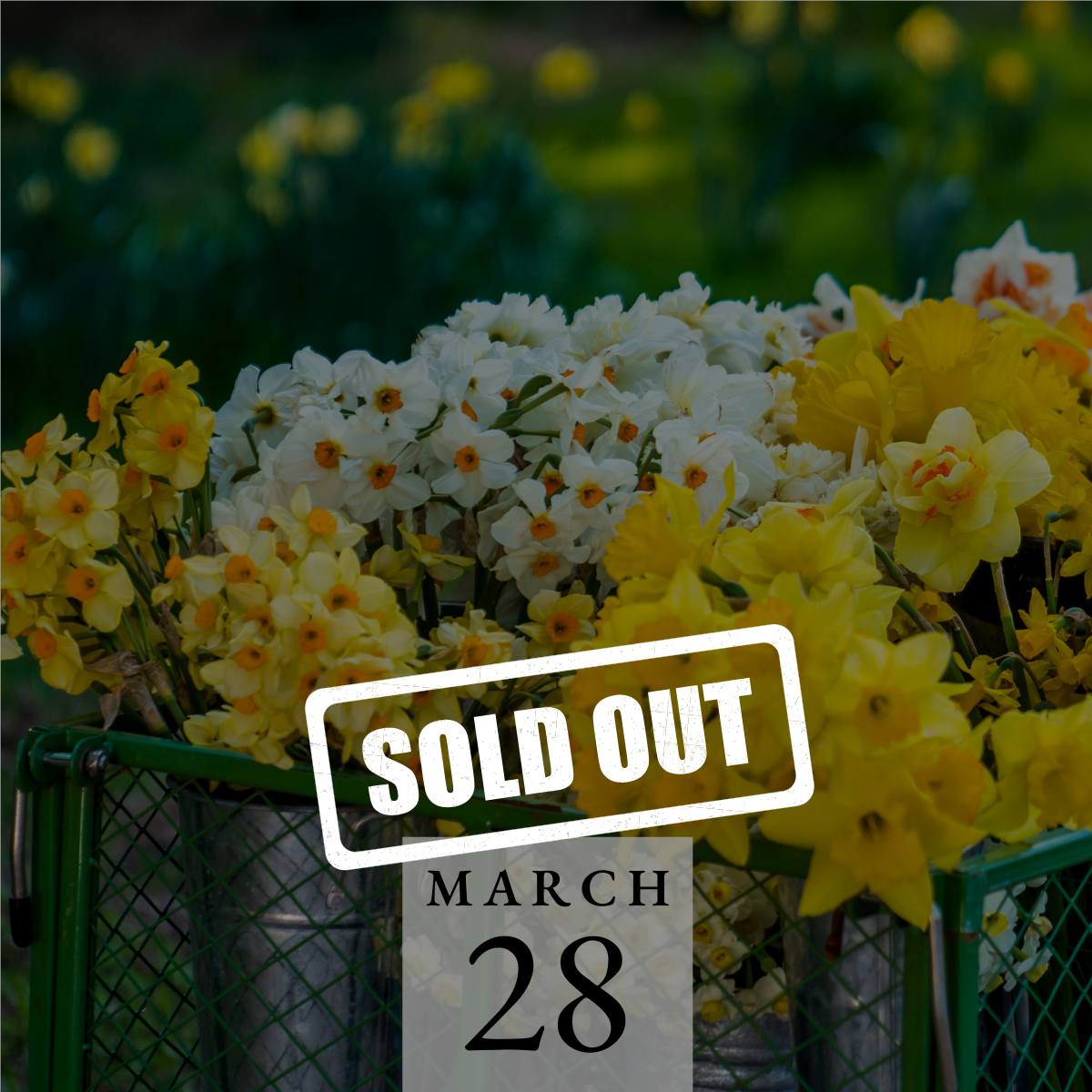 March 28, 2025 - P. Allen Smith