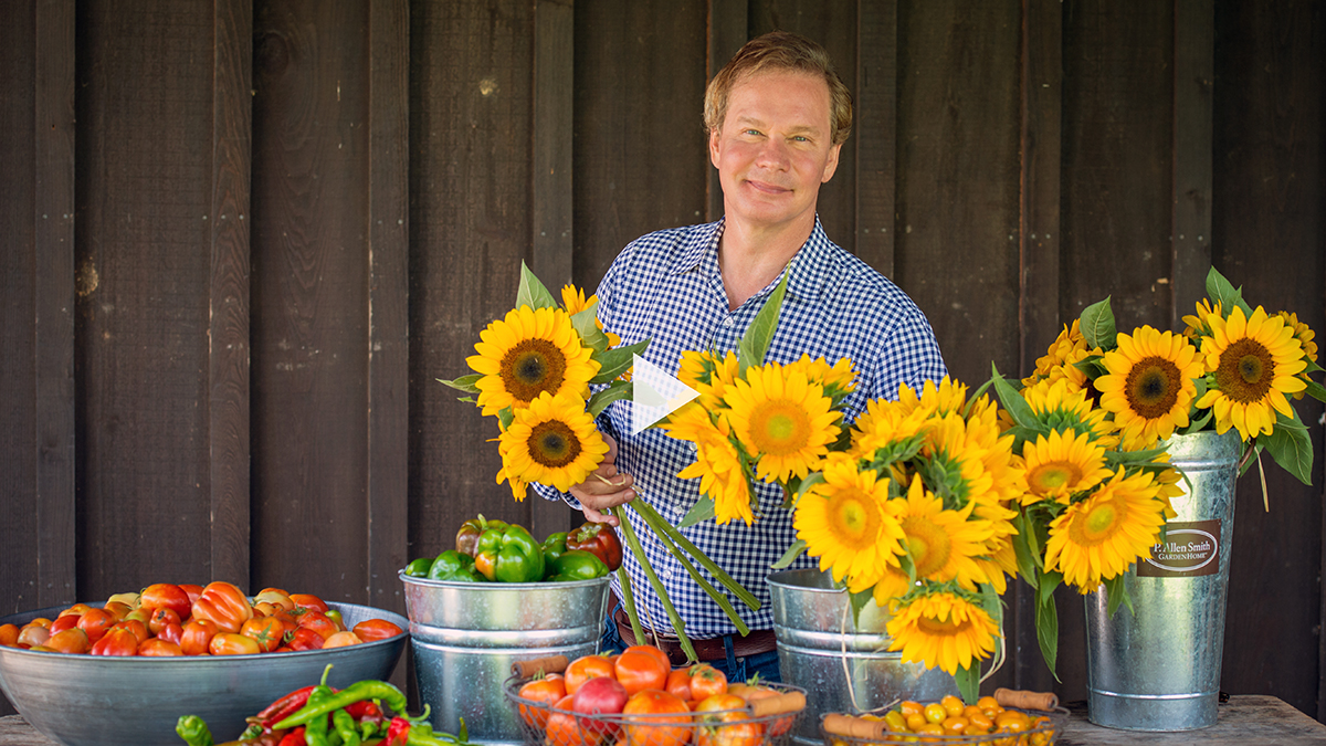 Watch – P. Allen Smith