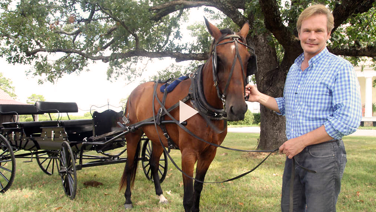 Watch – P. Allen Smith