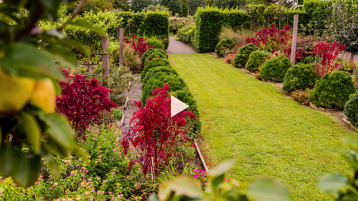 Watch – P. Allen Smith