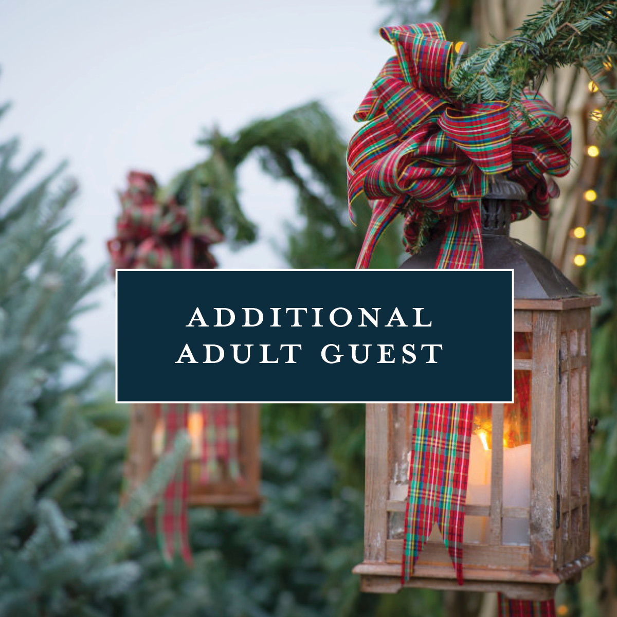 Additional Adult Guest - Cocoa with Mrs. Claus - P. Allen Smith